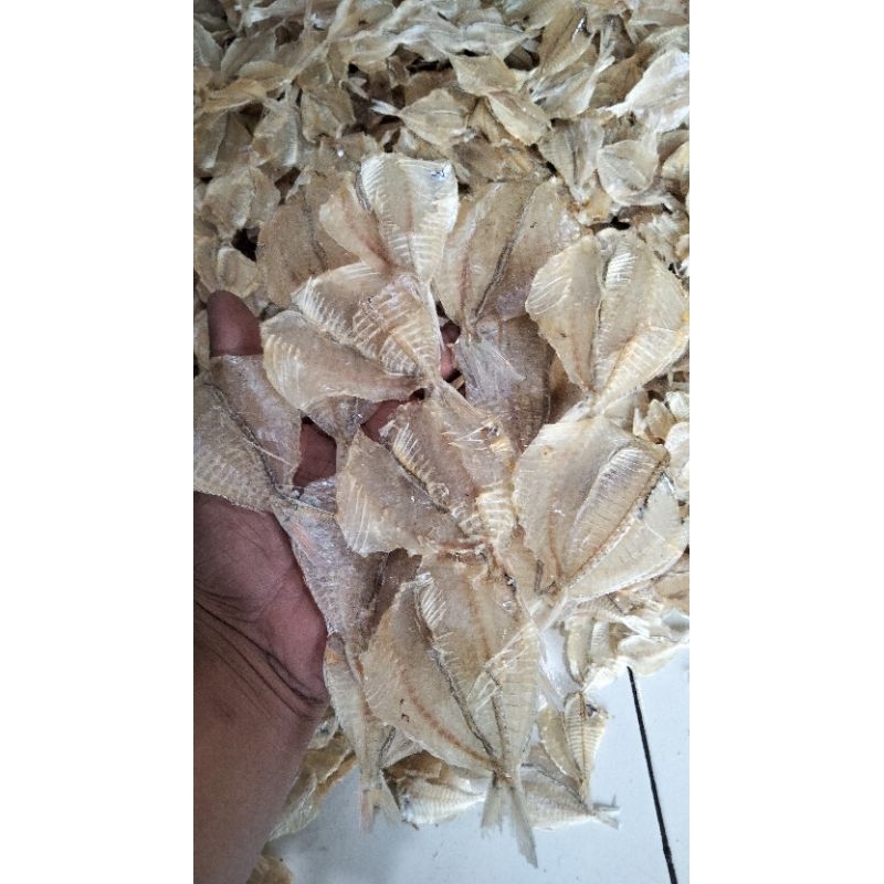 Jual ikan pakang/kapasan 1kg | Shopee Indonesia