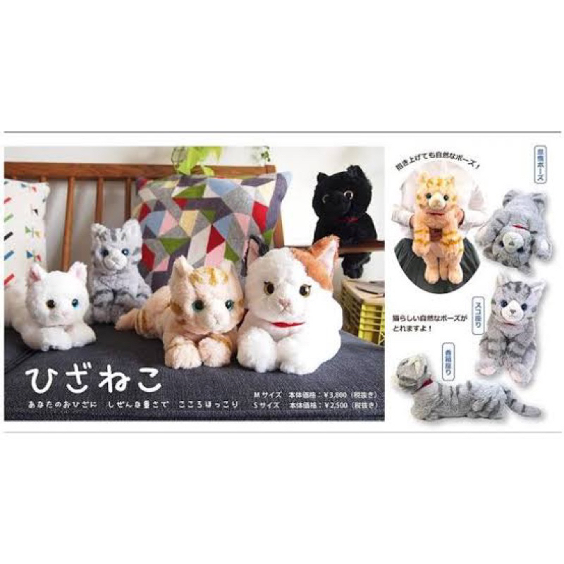 Jual Sunlemon Boneka Kucing / Cat / Kitten Plush Size Medium & Large ...