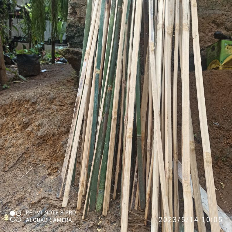 Jual BAMBU BILAH / AJIR BAMBU TANAMAN / PENYANGGA TANAMAN 200 CM ...