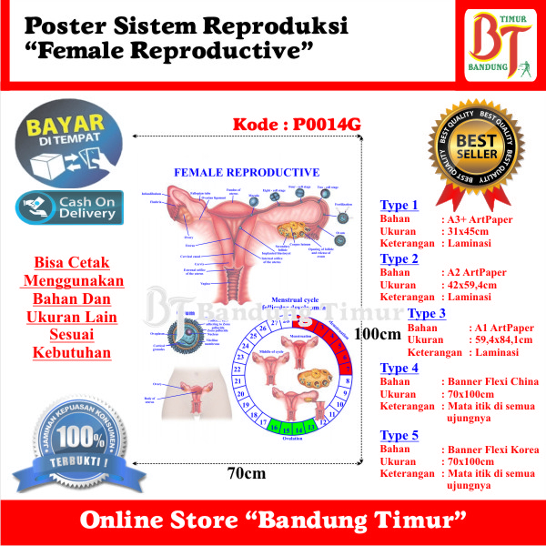 Jual POSTER SISTEM REPRODUKSI - FEMALE REPRODUCTIVE | Shopee Indonesia