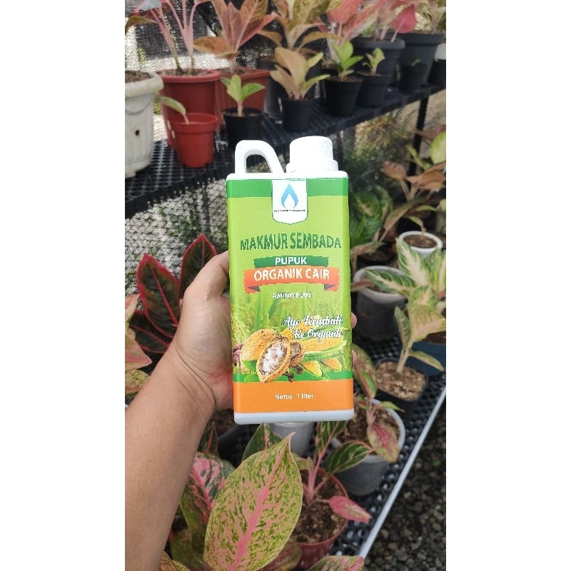 Jual Pupuk Organic Cair - Amino Plus Tanaman - Pupuk Penyubur Tanah dan ...
