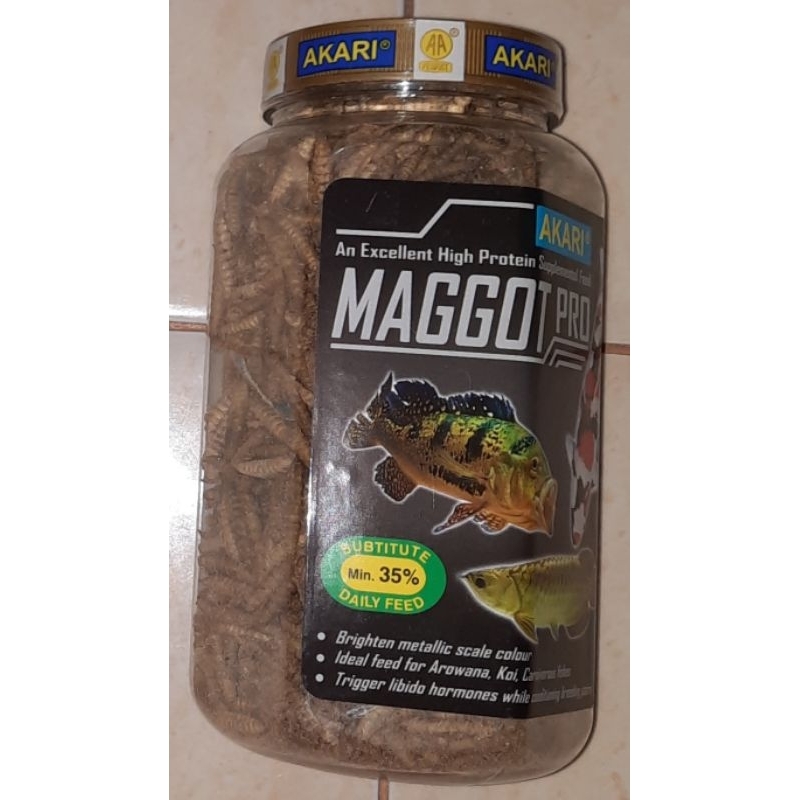 Jual maggot pro akari 130 gram ( belatung ) ( floating ) ( toples ...