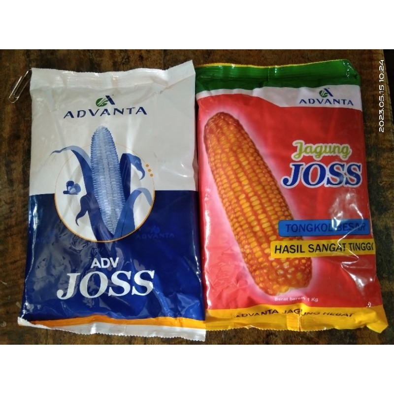 Jual Benih jagung ADV JOSS | Shopee Indonesia