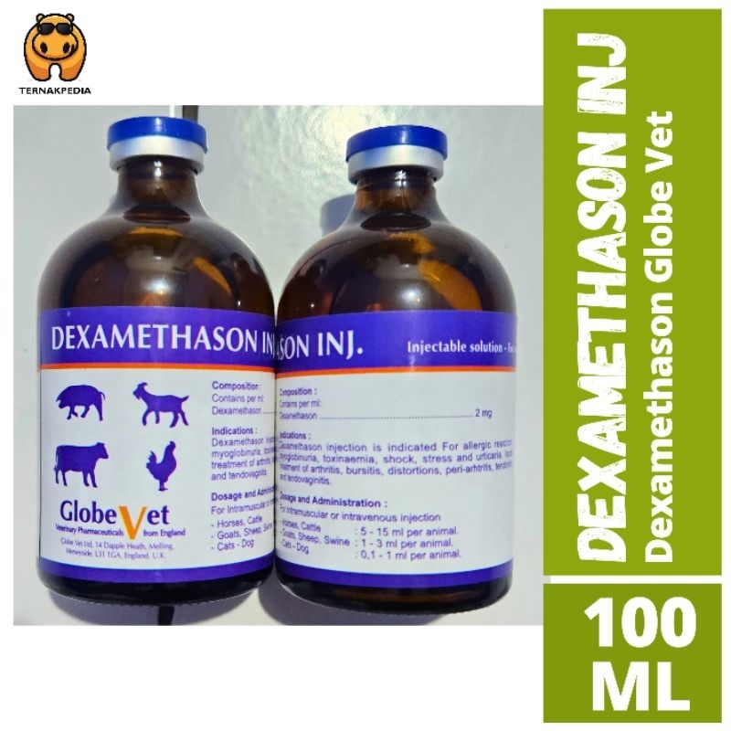 Jual Dexa Globe Vet 100 ml - DEXAMETHASON | Shopee Indonesia