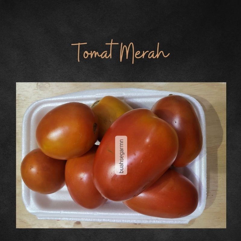 Jual Tomat Merah | Shopee Indonesia