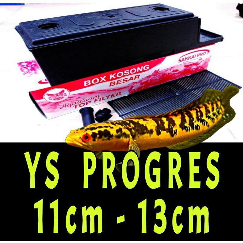Jual Box ys progres 11-15 single bar simet rapi pompa aquarium | Shopee ...