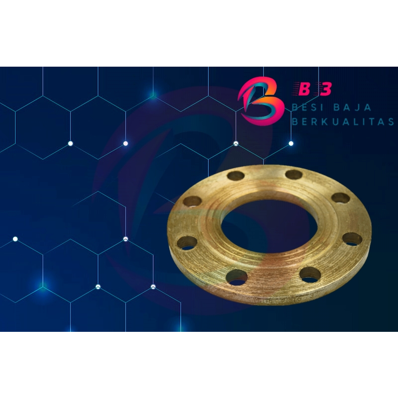 Jual Flange Besi PN 16 NS 8 inch | Shopee Indonesia