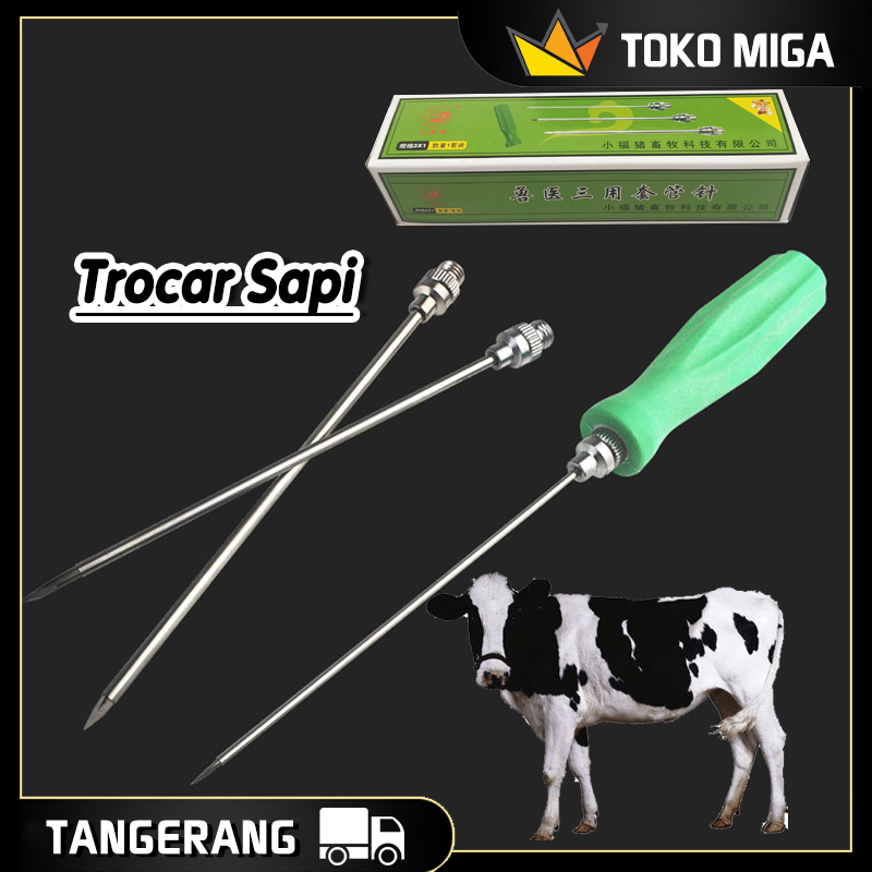 Jual Hewan Perut Kembung Trokar Untuk Sapi Kambing Domba Babi Alat ...