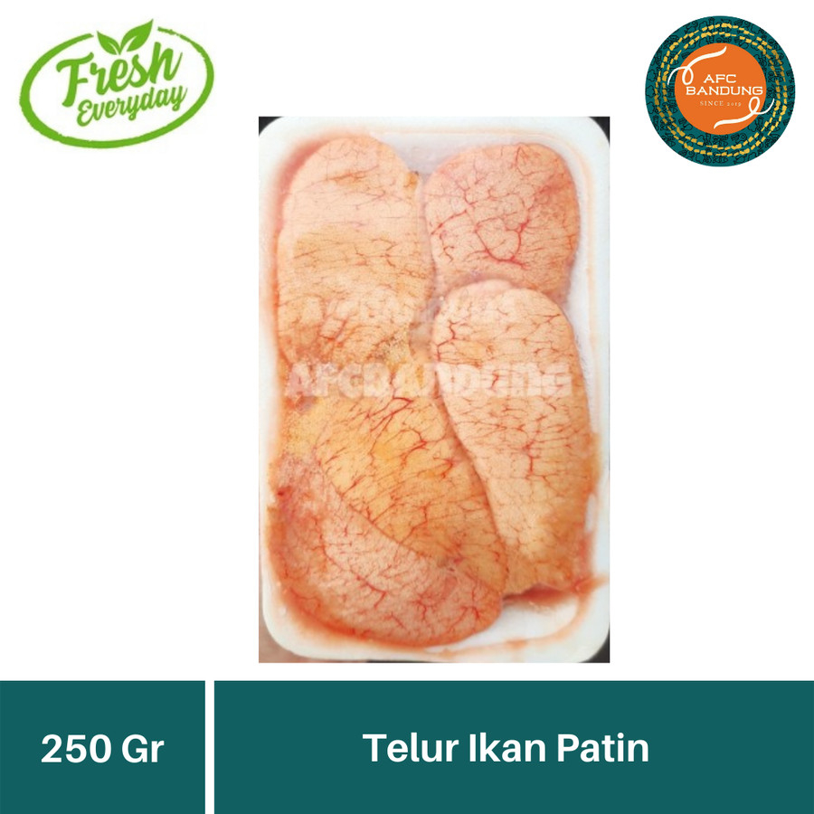 Jual Telur Ikan Patin 250gr Telur Patin Telor Ikan Patin Fish 250 gr ...