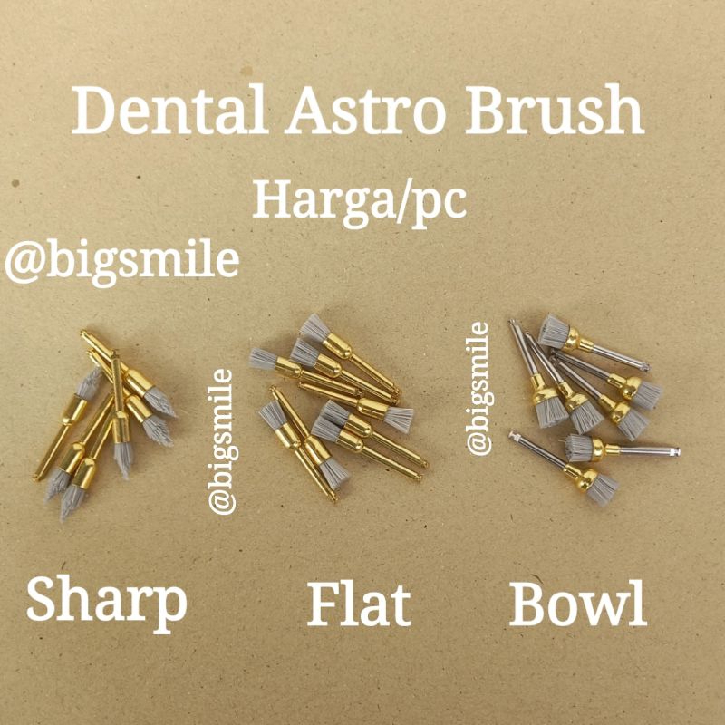 Jual Dental Astro Brush High Glossy Polishing Astrobrush Bur Poles Komposit | Shopee Indonesia