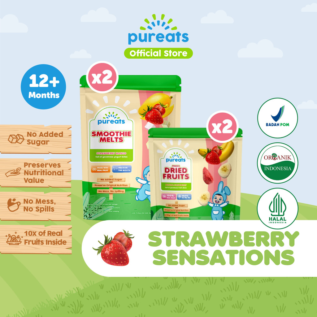 Jual Pureats Bundle Strawberry (2 x Dried Fruits & 2x Smoothie Melts ...