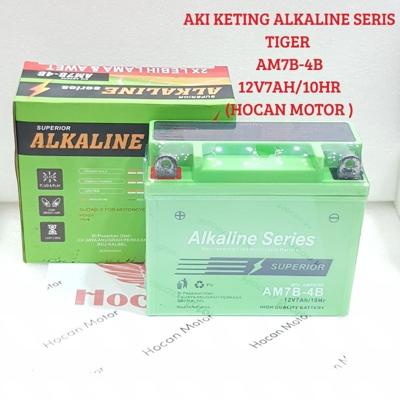 Jual AKI KERING ALKALINE SERIES AM7B-4B TIGER LAMA TIGER REVO BIG ...