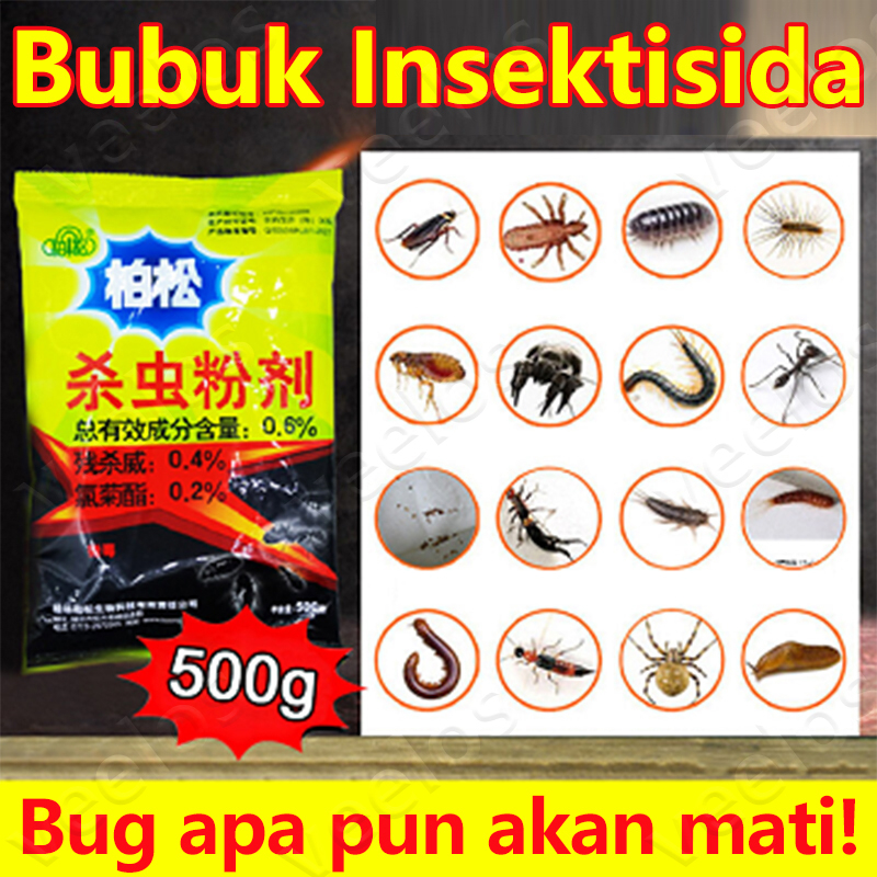 Jual obat anti rayap racun anti rayap kayu obat pembasmi rayap kayu ...