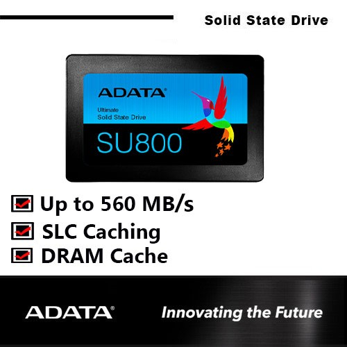 Jual SSD ADATA SU800 256GB Internal SATA 2.5 inch | Shopee Indonesia