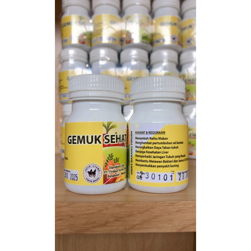 Jual PIL JAMU PENAFSU MAKAN/JAMU PENGGEMUK/GEMUK SEHAT ( BACA DESKRIPSI ...
