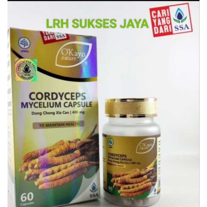 Jual Cordyceps Mycelium Capsule 60 capsule | Shopee Indonesia