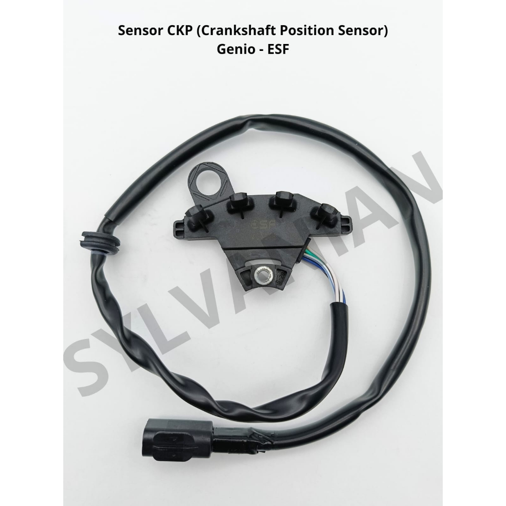 Jual SENSOR CKP (CRANKSHAFT POSITION SENSOR) GENIO ESF | Shopee Indonesia