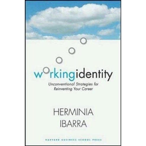 Jual Buku Cetak Working Identity Unconventional Strategies for ...