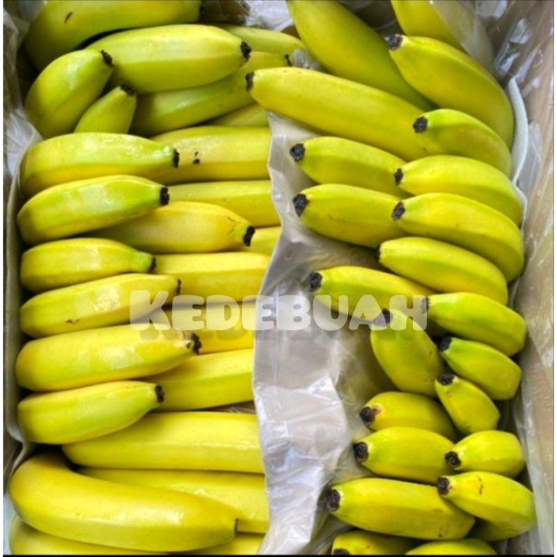 Jual Pisang Cavendish Sunpride 1 kg | Shopee Indonesia