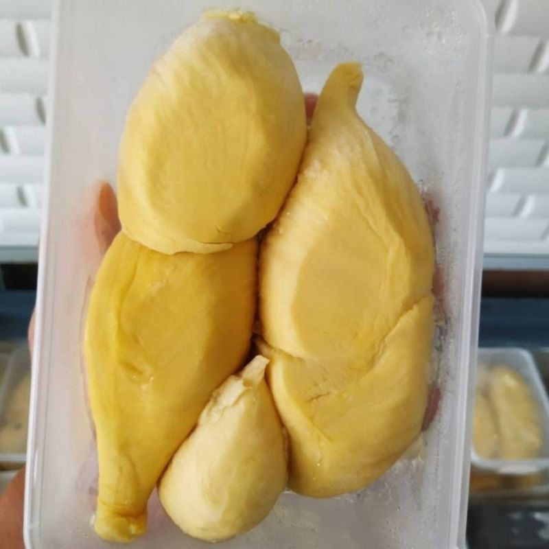 Jual Durian Montong bali singaraja | Shopee Indonesia