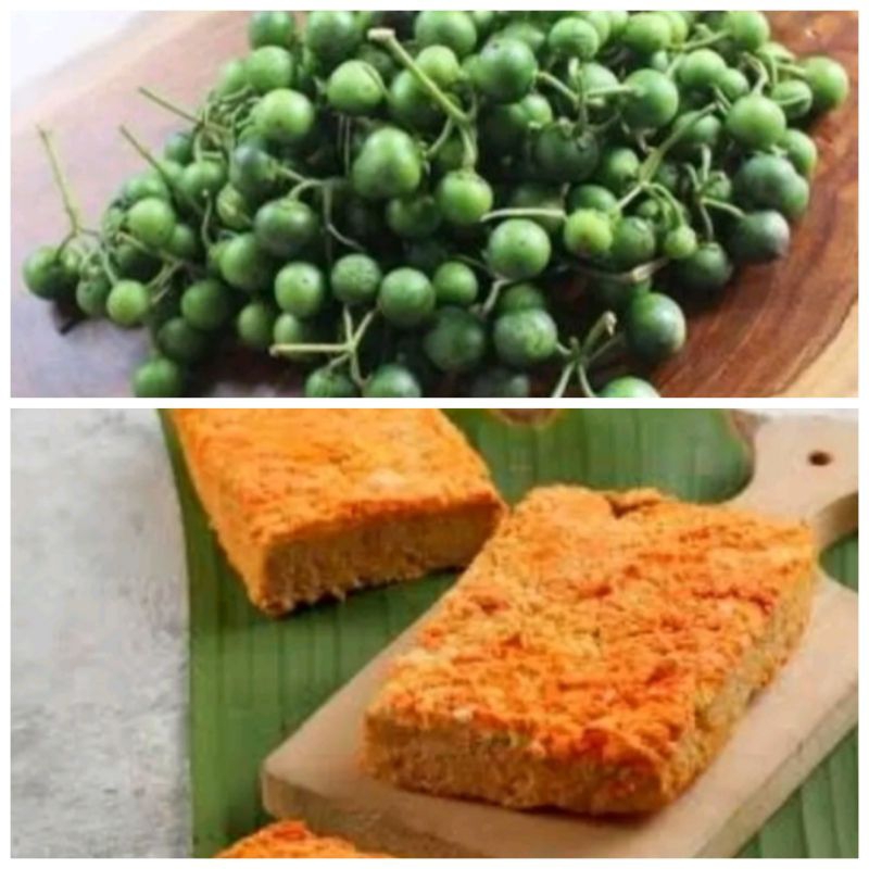 Jual Oncom Dan Leunca | Shopee Indonesia