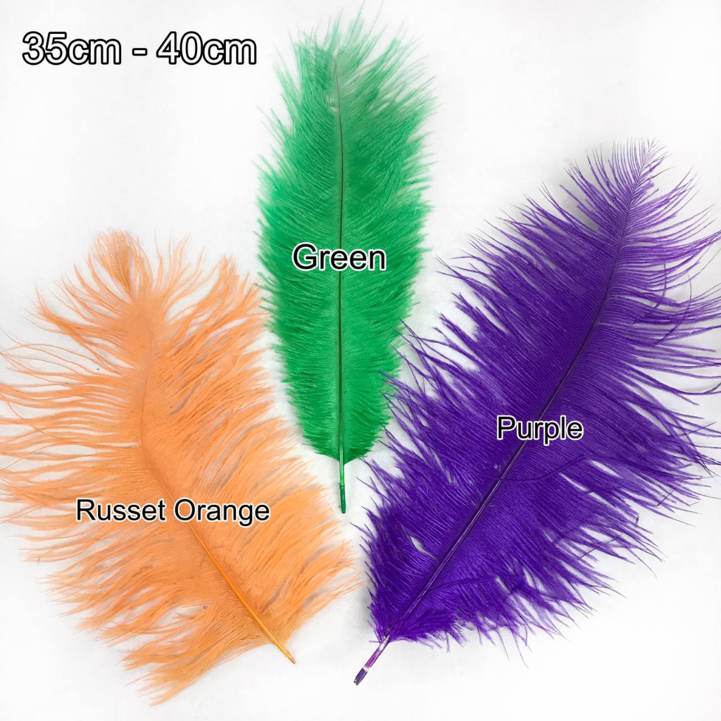 Jual PER 1 HELAI - SIZE 35CM - 40CM / BULU DEKORASI BIJIAN / BULU ...