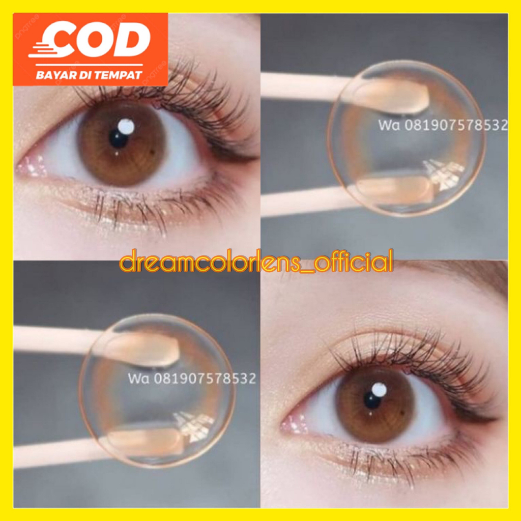 Jual SOFTLENS MINI BOM BROWN BY KITTYKAWAII | SOFTLENS 14 MM | SOFTLENS ...