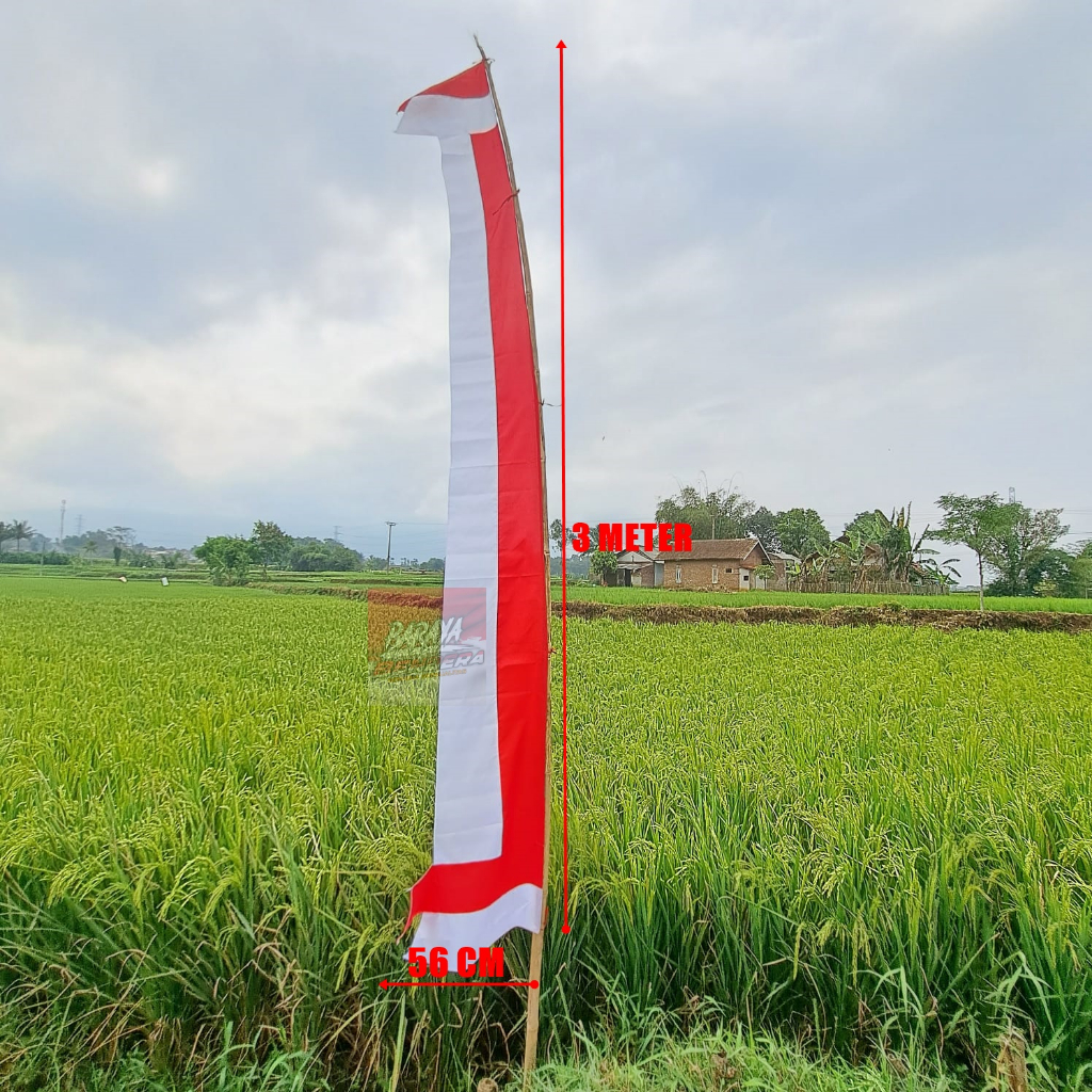 Jual BENDERA UMBUL - UMBUL LAYUR MERAH PUTIH | Shopee Indonesia