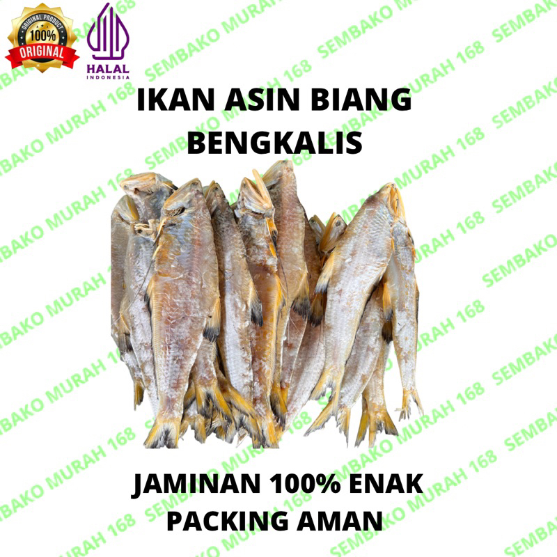 Jual Ikan Asin Biang Khas Bengkalis Lemak 250 gr | Shopee Indonesia