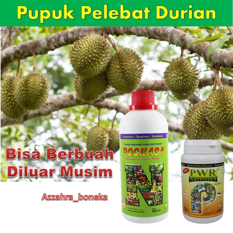 Jual Pupuk Organik Pelebat Buah Durian / Pupuk Durian Cepat Berbuah / Booster Durian / Pupuk ...