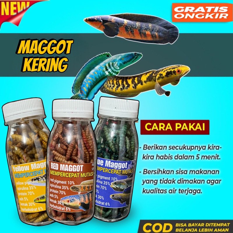 Jual Super maggot 20gram | maggot kering red yellow blue | pakan ikan ...