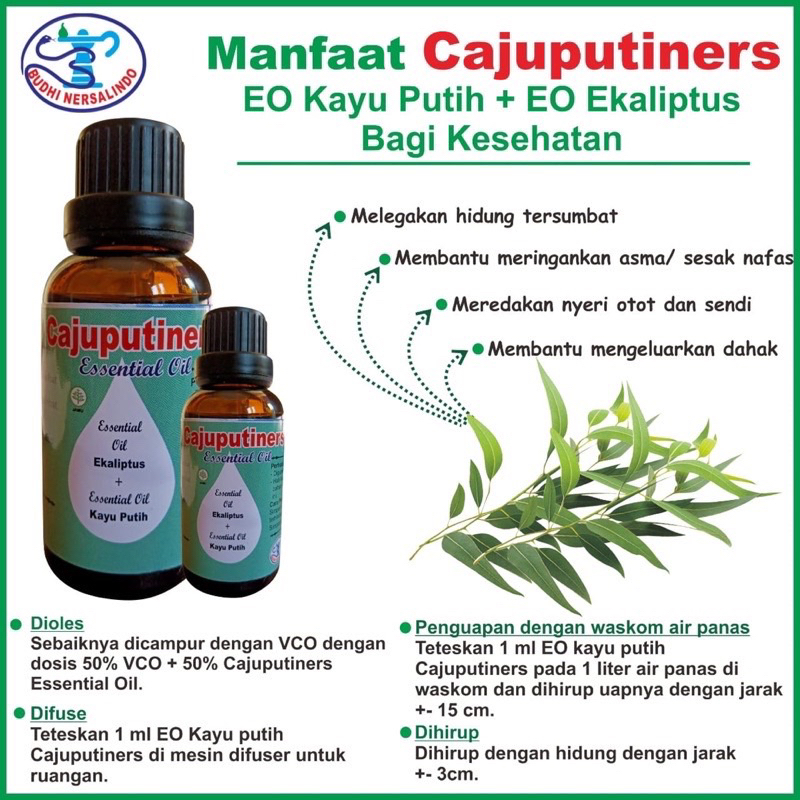 Jual Essensial cajuput oil | minyak cajuput oil | Shopee Indonesia