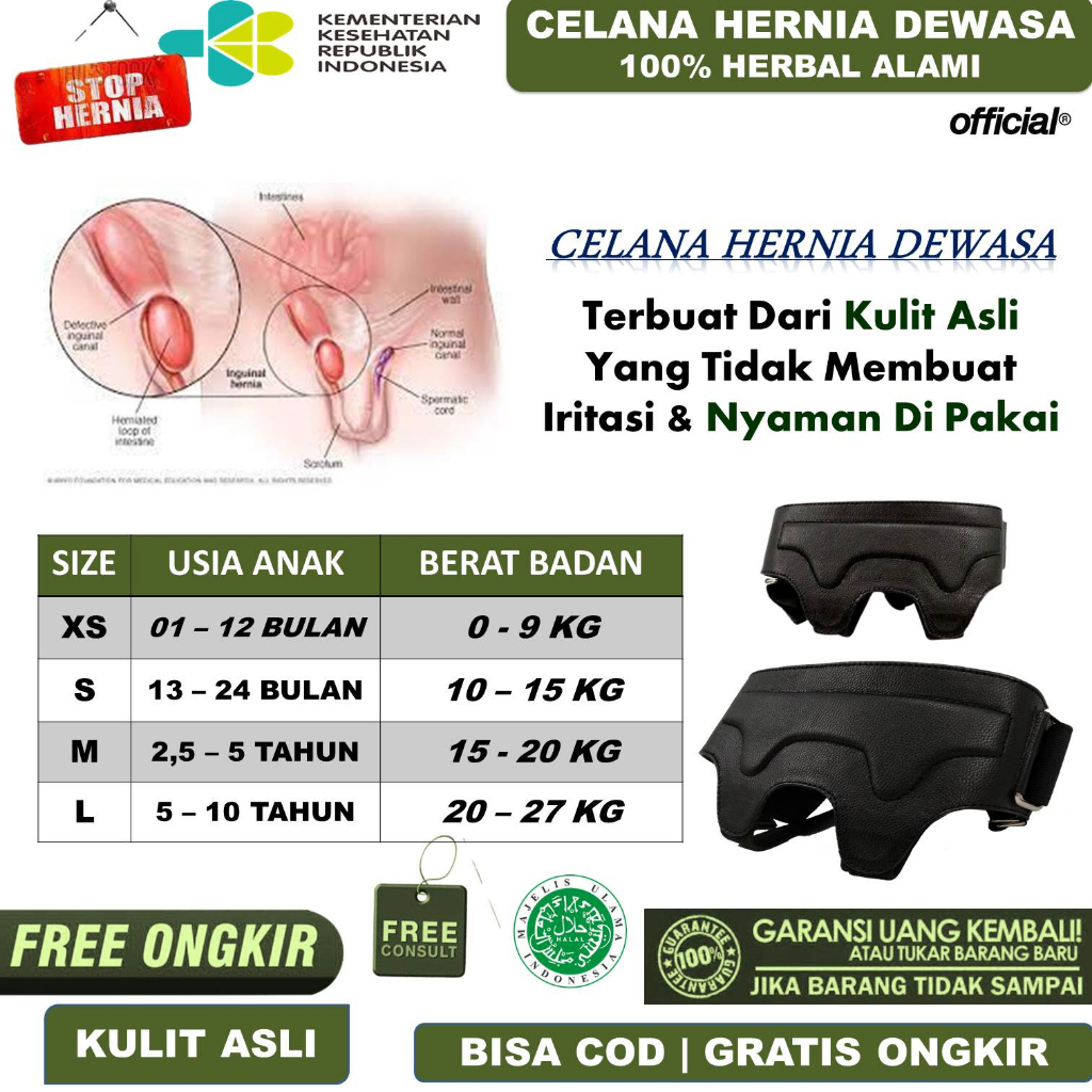 Jual Celana Hernia Pria Dewasa Celana Terapi Hernia Untuk Kesehatan ...