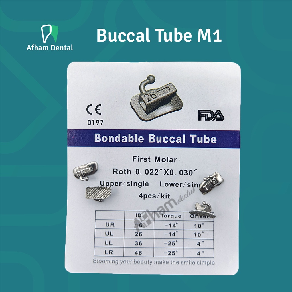 Jual BUCCAL TUBE / BUCALTUBE/ BUCAL TUBE /BUCCALTUBE FDA PENGUNCI BEHEL ...