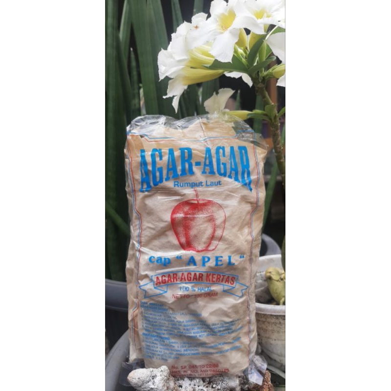 Jual Agar-Agar Rumput Laut Merah | Shopee Indonesia
