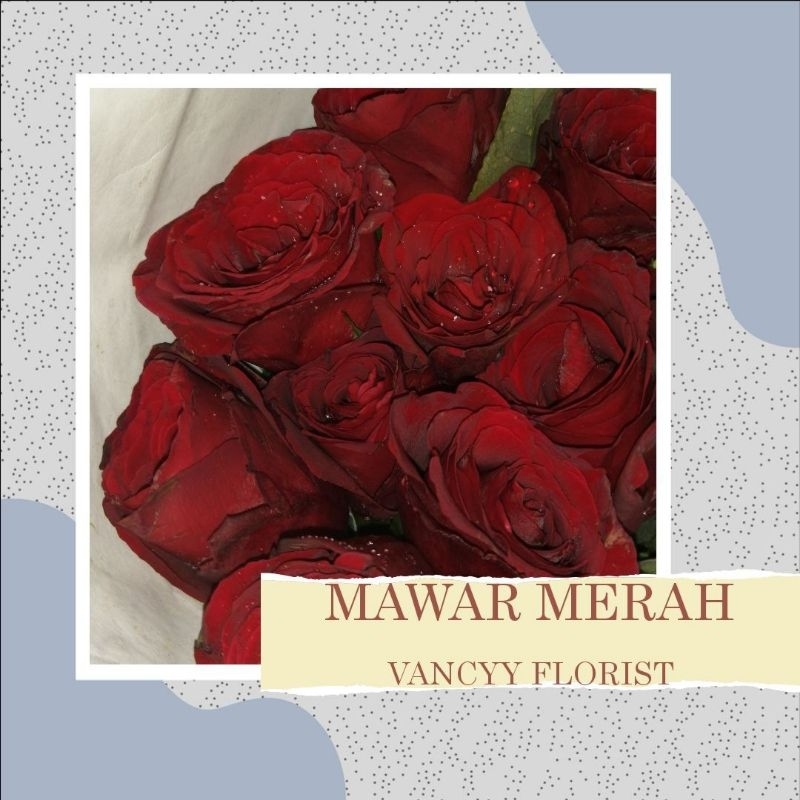 Jual Bunga Mawar Merah Fresh / Bunga Mawar Potong / Bunga Mawar Import ...