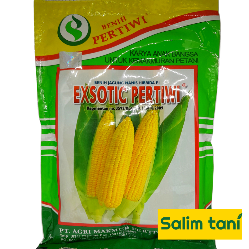 Jual Benih Bibit Jagung Manis EXOTIC Exsotic BENIH PERTIWI 1750 Butir ...