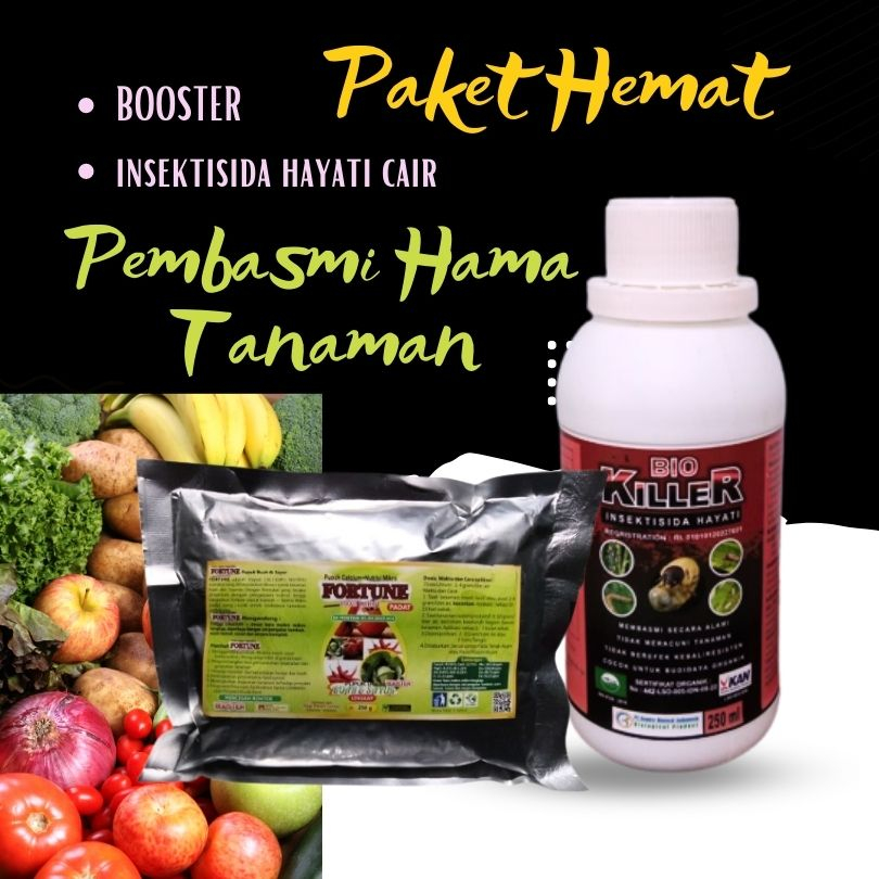 Jual Paket Obat Hama Padi Paling Ampuh Basmi Walang sangit, Kepinding ...