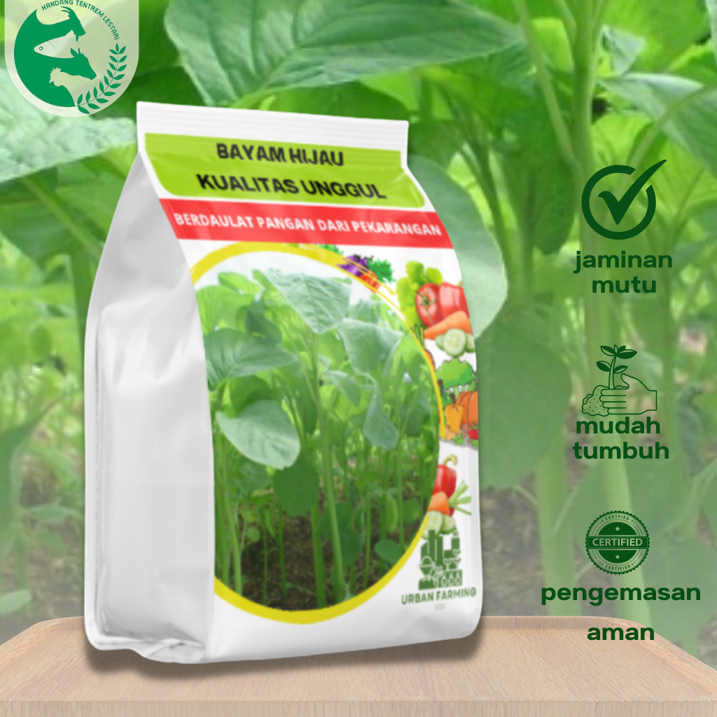 Jual Benih Bayam Mangkok Hijau 1 kg Premium Microgreen Hidroponik Biji ...