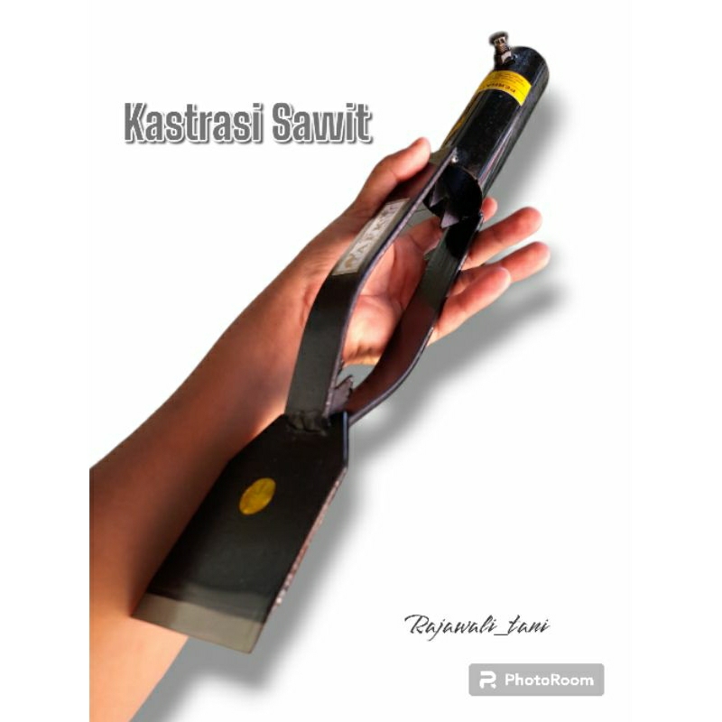 Jual ALAT KASTRASI SAWIT / DODOS KASTRASI SAWIT | Shopee Indonesia