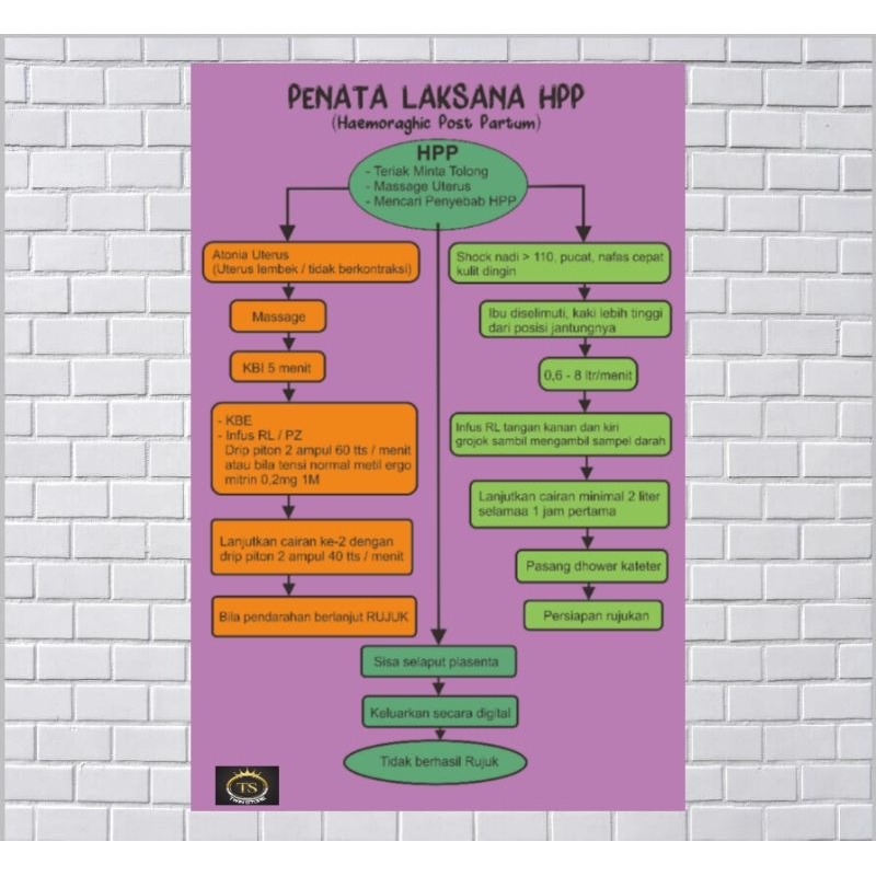 Jual Poster Kebidanan Tentang Penatalaksanaan HPP (Haemoraghic Post ...