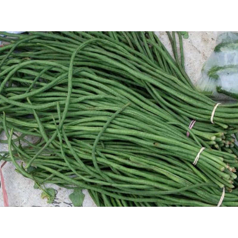 Jual Sayur organik kacang panjang per 1 ikat sayur non pestisida ...