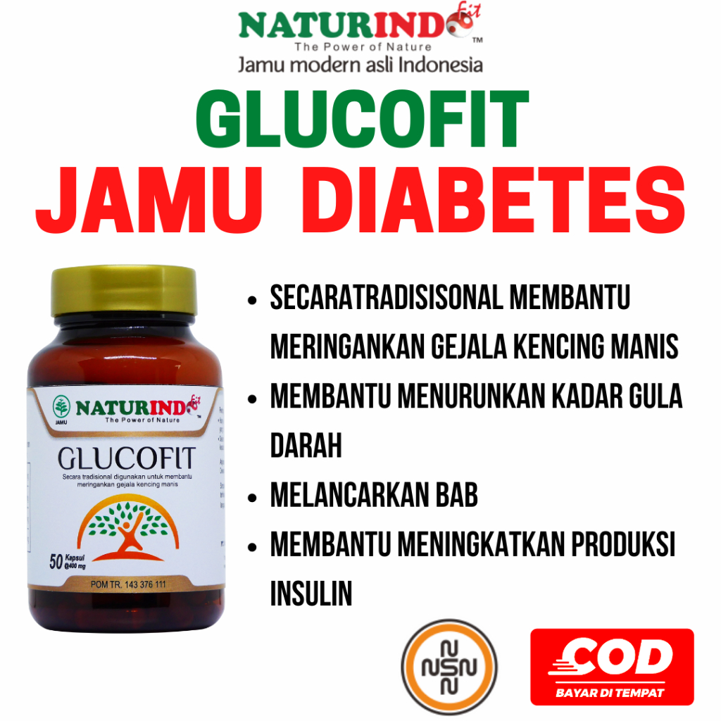 Jual Obat Diabetes Kering Basah Gula Darah Tinggi Glucofit Naturindo 50 ...