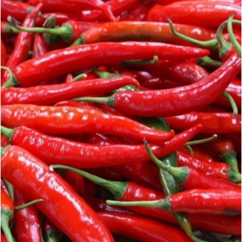 Jual Cabe merah besar 250gr | Shopee Indonesia