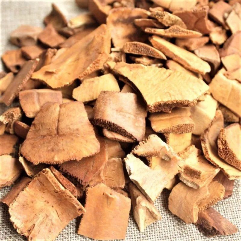 Jual 10 G 50 GR GRAM 龟板 GUI BAN FRESH WATER TURTLE SHELL SHELLS ...