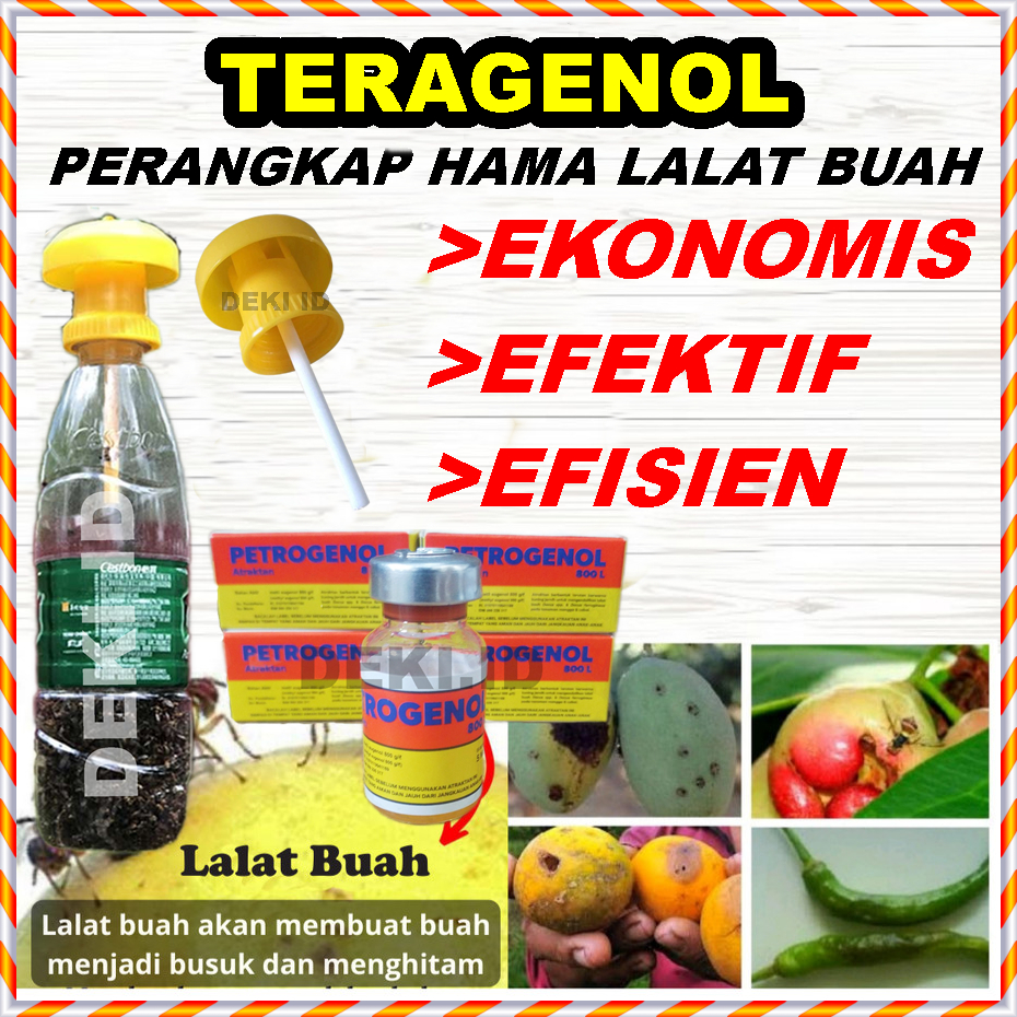 Jual Teragenol Tempat Petrogenol Perangkap Lalat Buah Insektisida ...