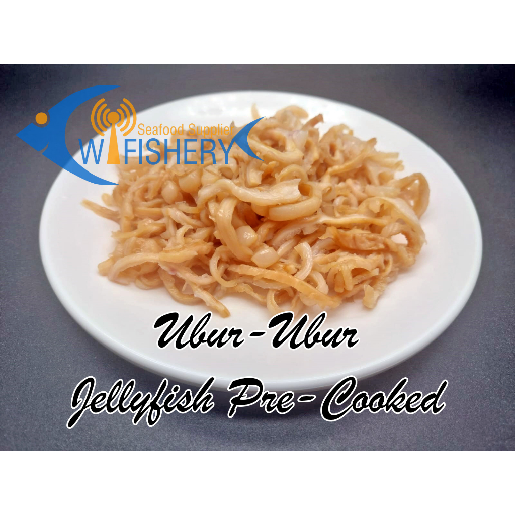 Jual Ubur-Ubur Siap Makan - Jellyfish Pre Cooked | Shopee Indonesia