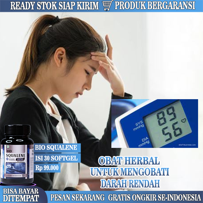 Jual Obat Darah Rendah, HB Darah Rendah, Obat Thalassemia Anemia Darah ...