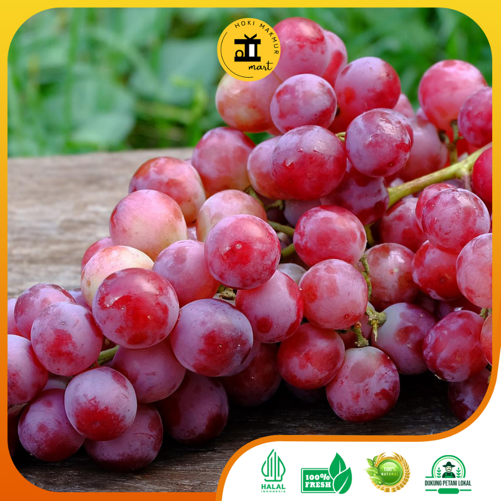 Jual BUAH ANGGUR PREMIUM 1 KG | ANGGUR MERAH 1 KG | RED GLOBE 1 KG ...