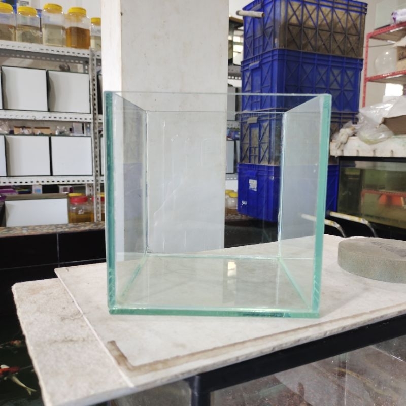 Jual aquarium kaca 15×15×15 cm kaca 5 mm soliter kaca untuk wadah ikan ...
